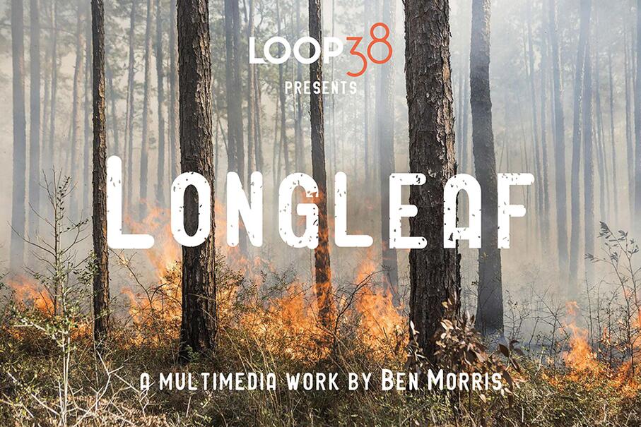 Longleaf | MATCH